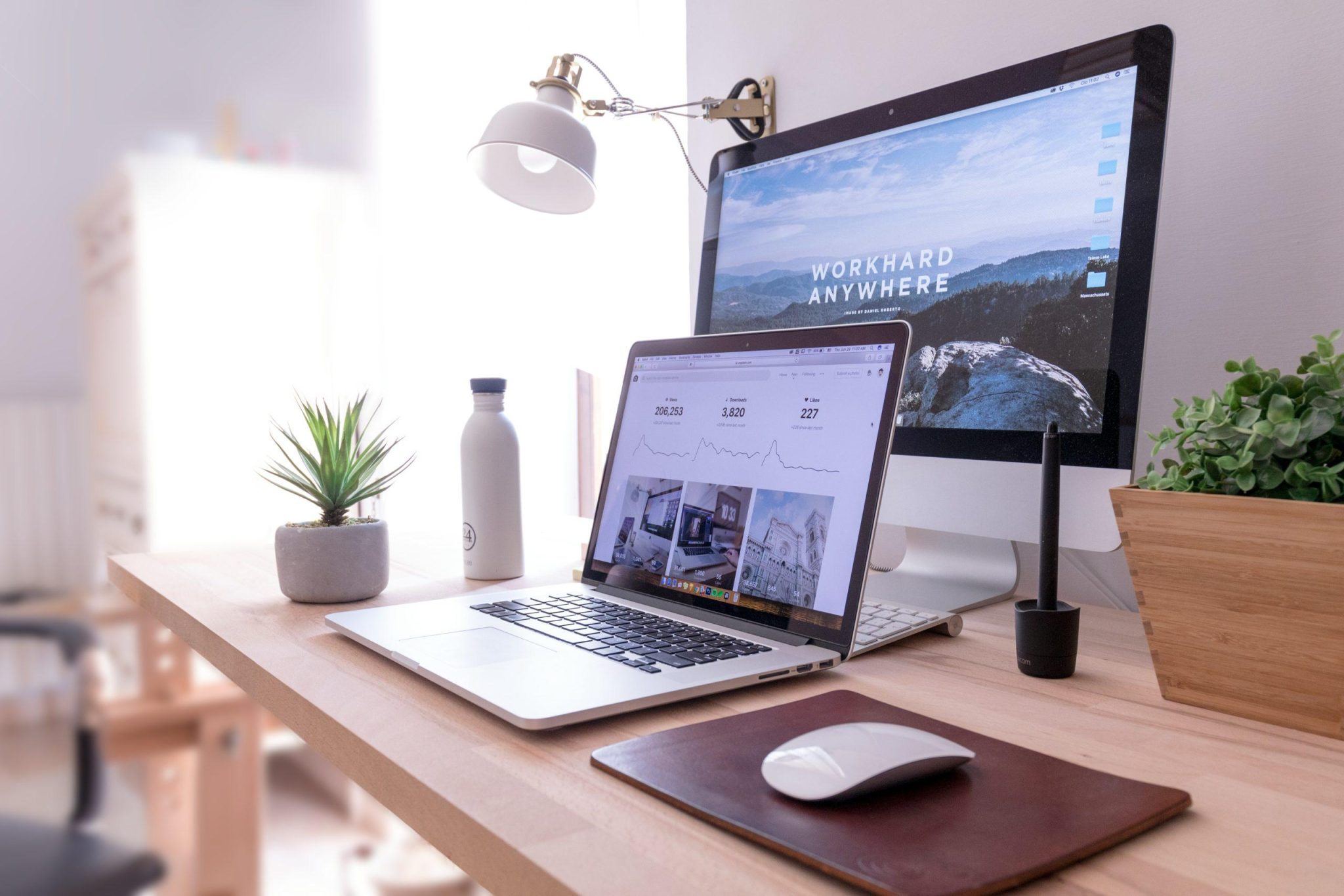 Best #1 WordPress Themes For 2024 Navigating The Latest Trends